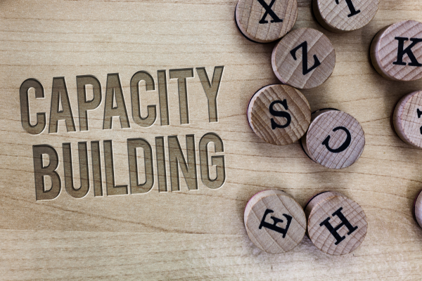 Capacity Building Support for Small Charities - fundsforNGOs Premium ...